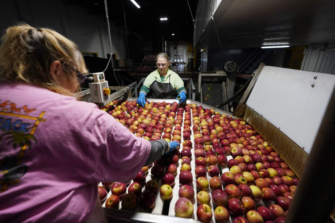 Fight to curb food waste increasingly turns to science | News, Sports ...